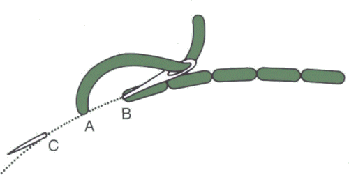 backstitch – Making Studio