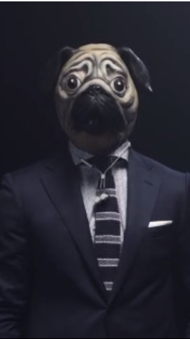 PUGZ Leaking [wireless earphones] – Teardown – Making Studio