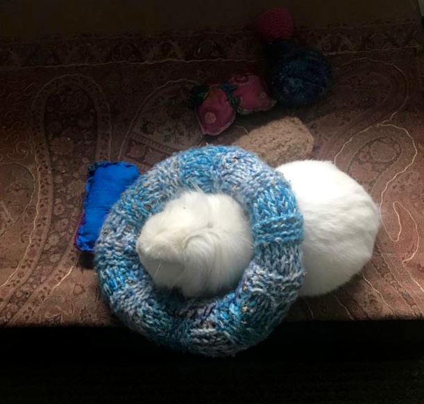 Vani’s Plush Nightlight – Making Studio